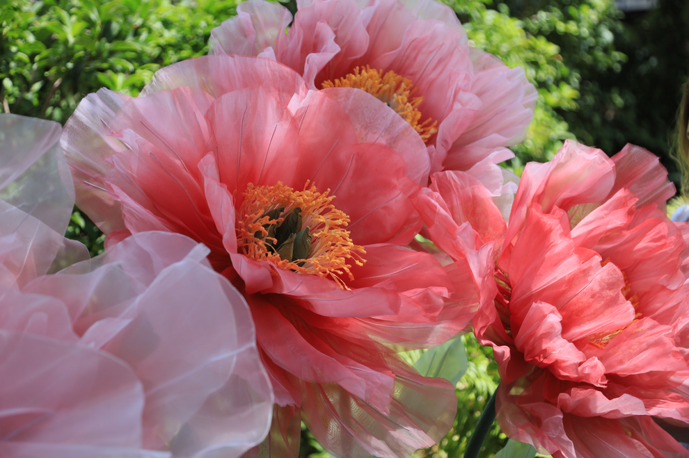 Set of 3 Giant Peonies – Silk Butterflies