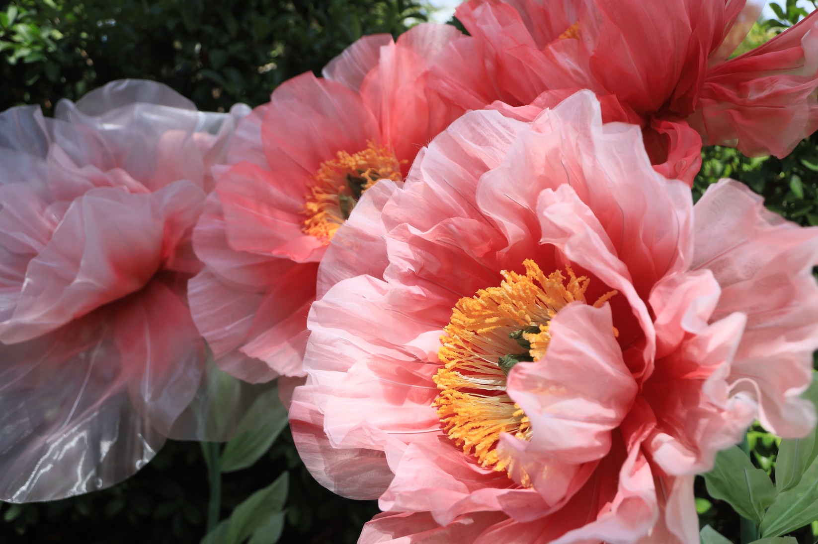 Set of 3 Giant Peonies – Silk Butterflies