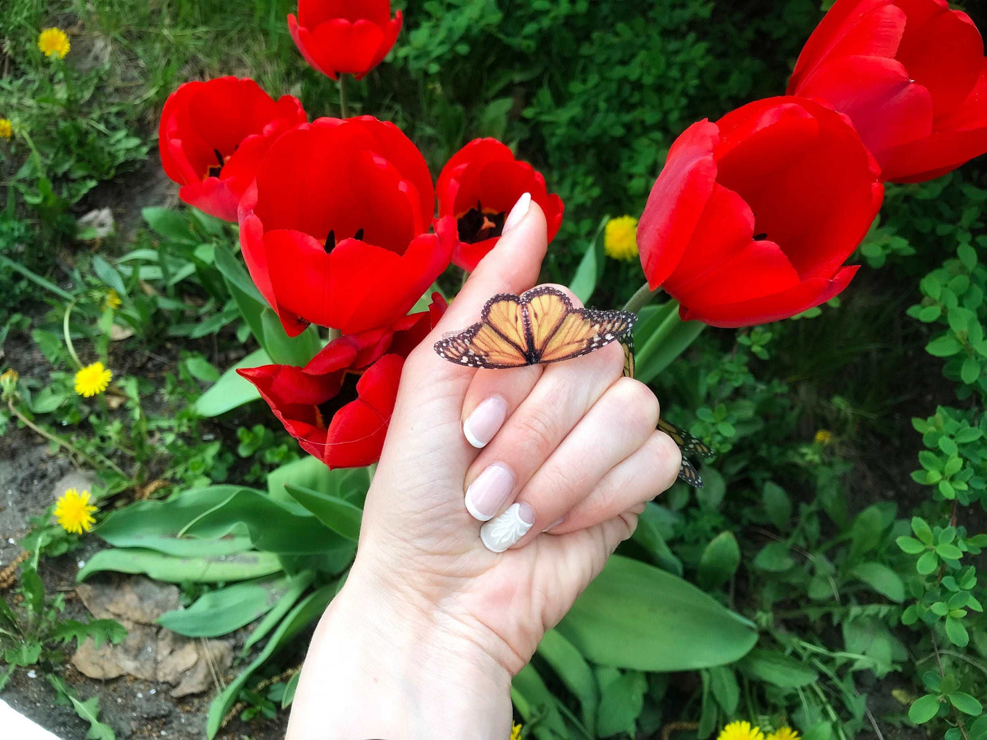 Monarch Butterfly Ring with Fluttering Effect - Handcrafted Adjustable ...